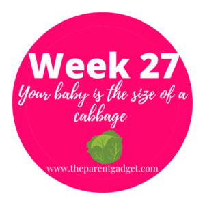 Week by Week Pregnancy Guide - The Parent Gadget