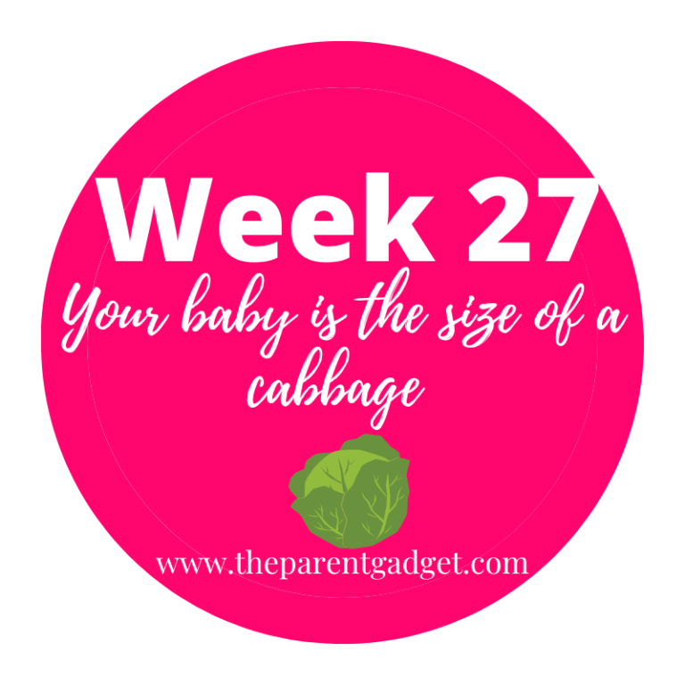 Week by Week Pregnancy Guide - The Parent Gadget
