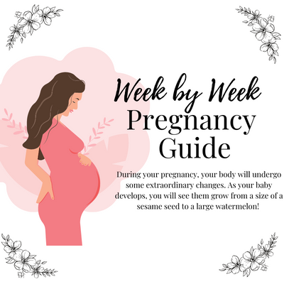 Week by Week Pregnancy Guide - The Parent Gadget